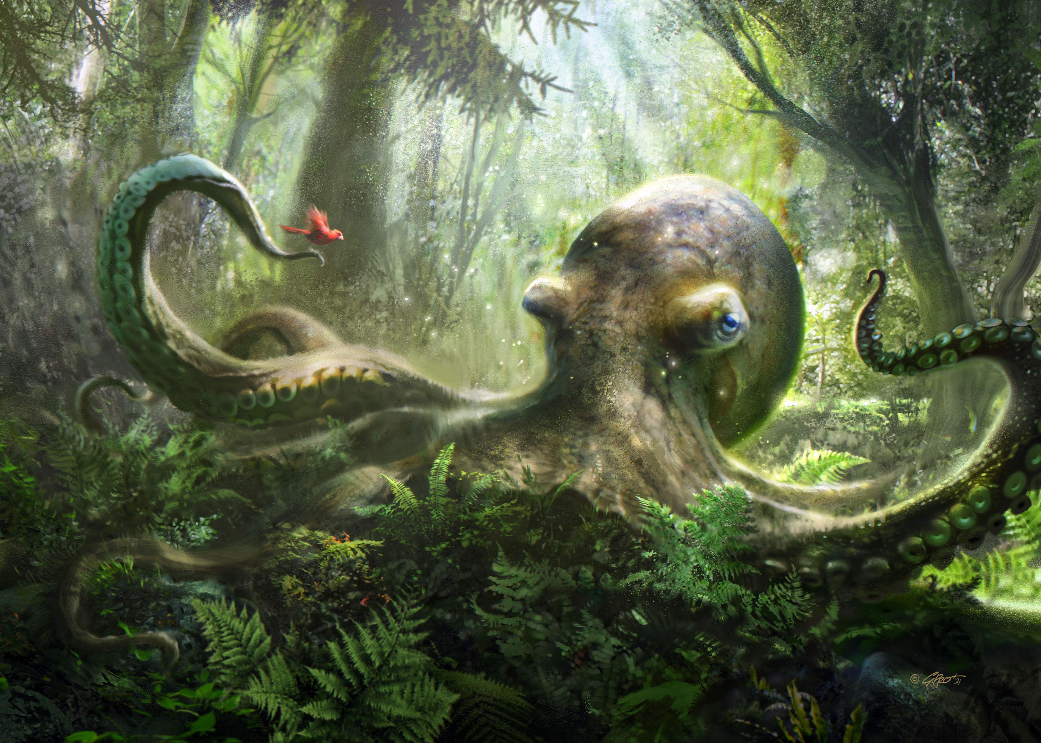 Forest Octopus | Foundation