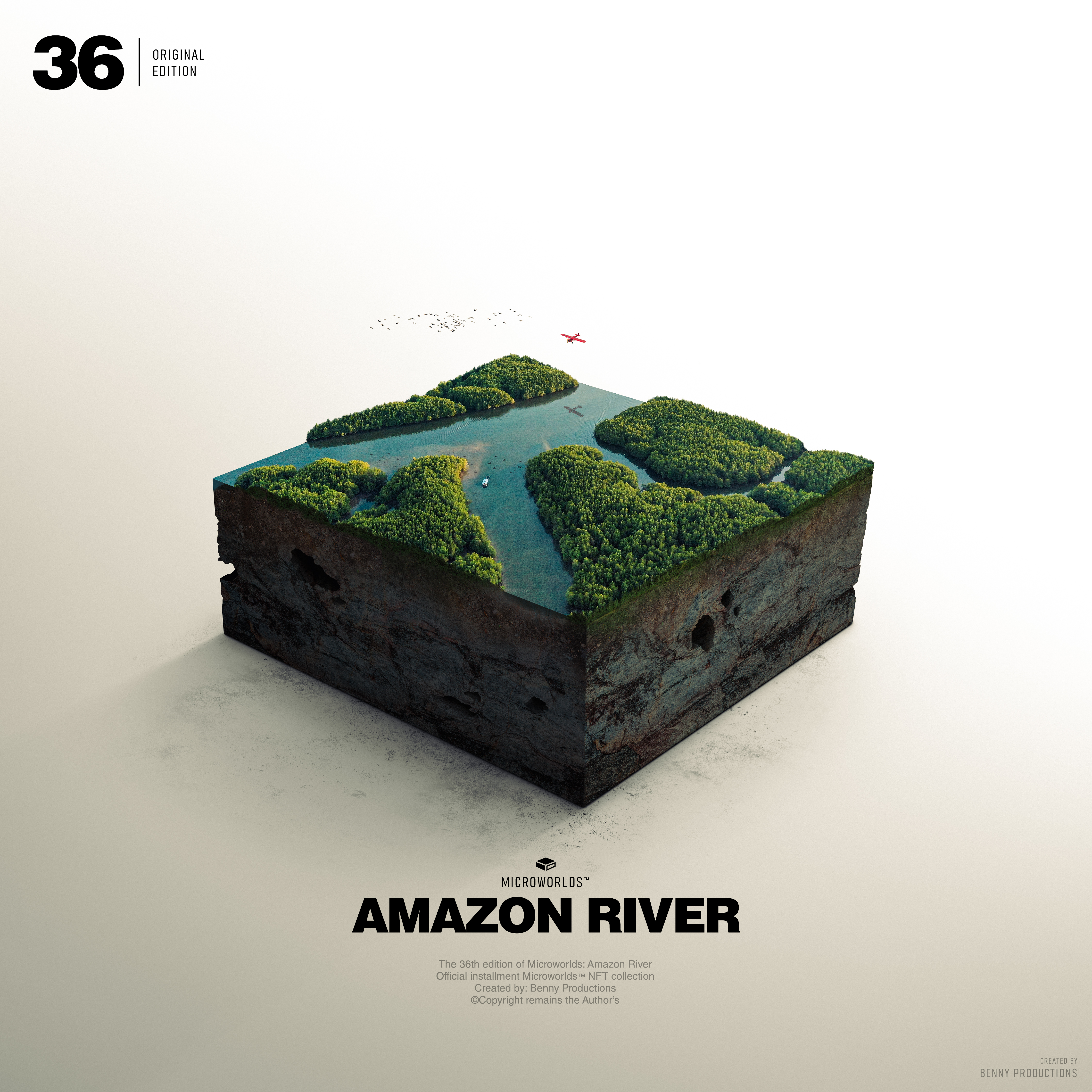 Amazon River | Microworlds 36 | Foundation