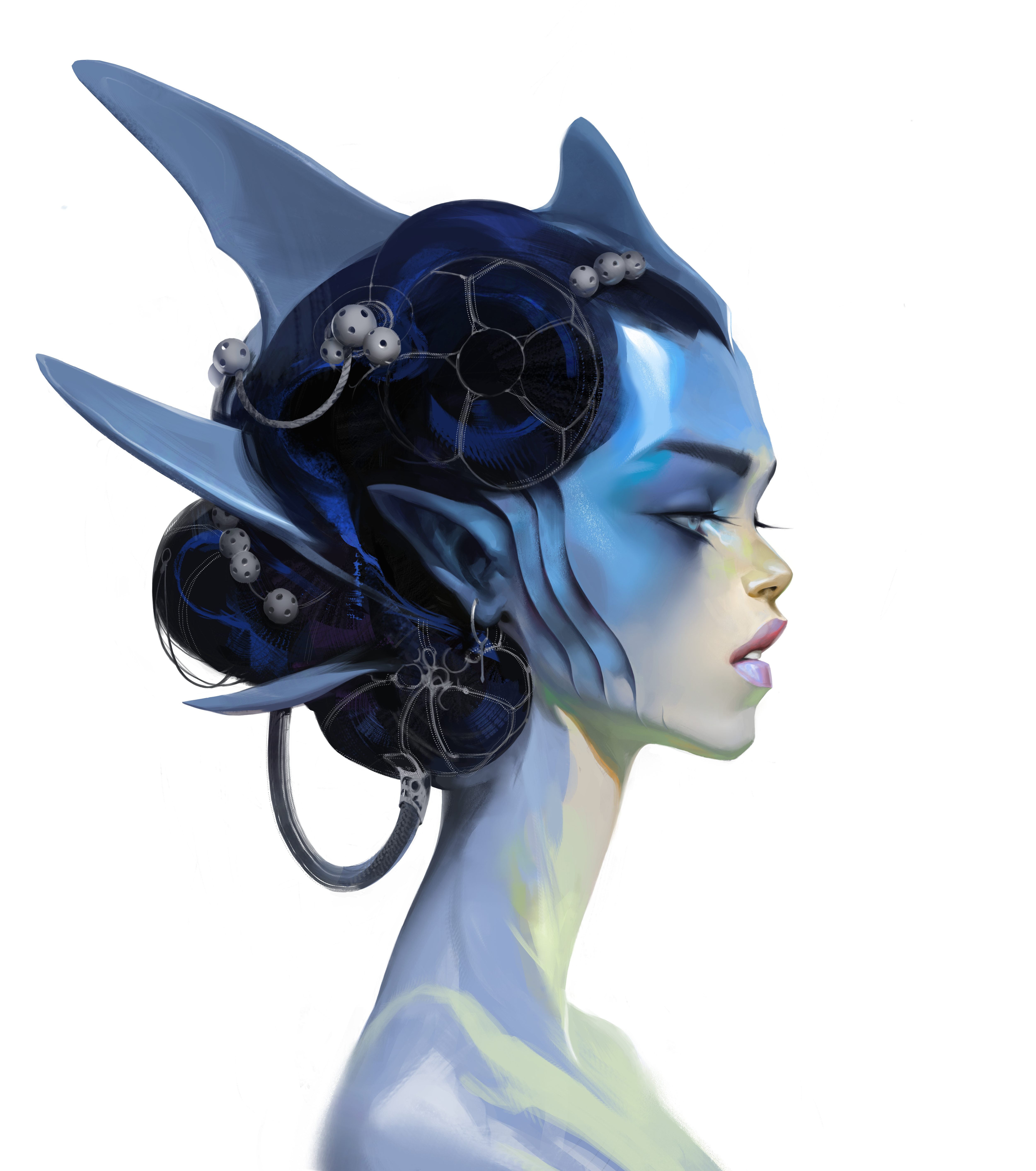 Shark princess | Foundation