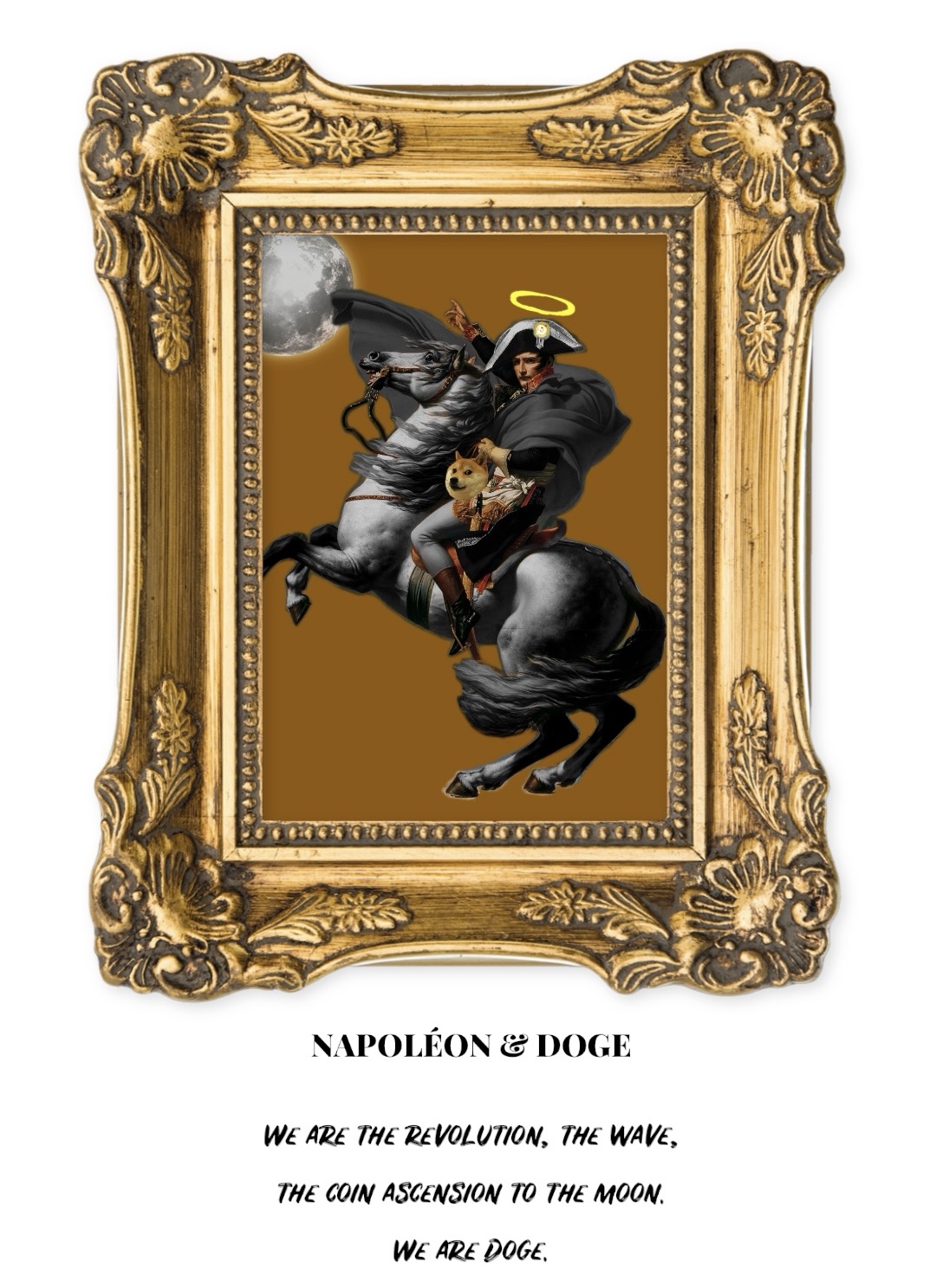 Napoléon & Doge | Foundation