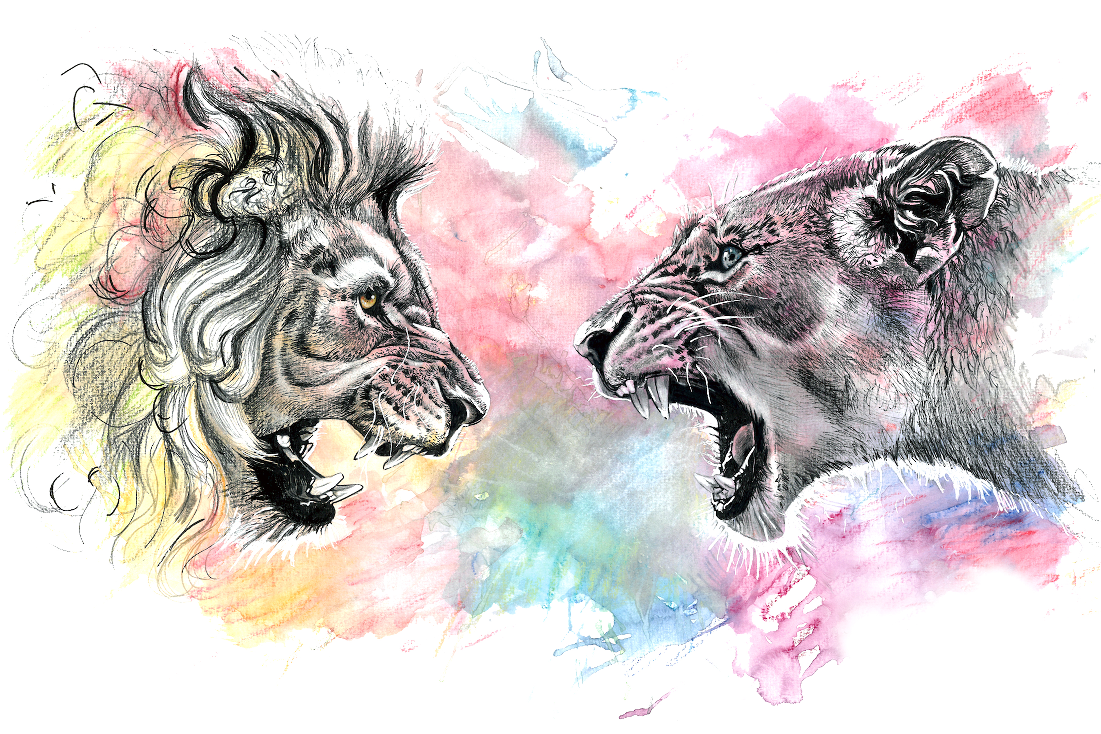 'We Roar' | Foundation